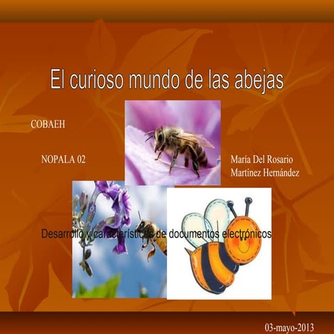 El curioso mundo de las abejas | PPT