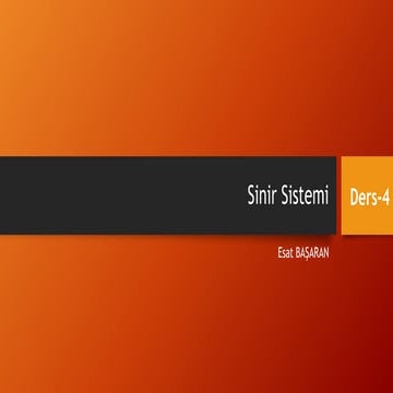 Sinir Sistemi | PDF