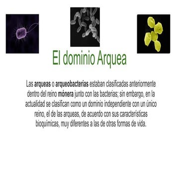 El dominio Arquea y bacteria ciencias naturales.pptx