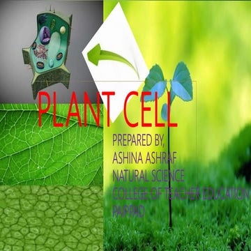 Elearning materialashinaashrafplant cell | PPTX | Gardening | Home & Garden