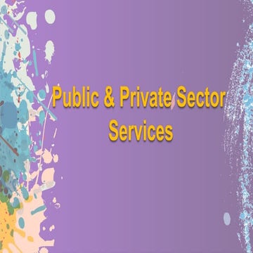 ELEC 6 PUBLIC AND PRIVATE SECTOR SERVICE 3.pptx