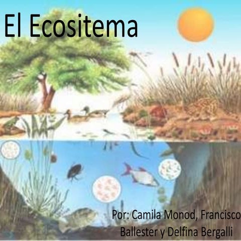 El ecositema | PPTX