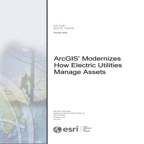 Electric-utility-asset-management_white paper.pdf