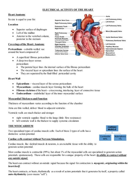 Conducting system of the heart | PPT