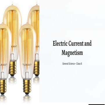 Electric Current and Magnetism class .pdf
