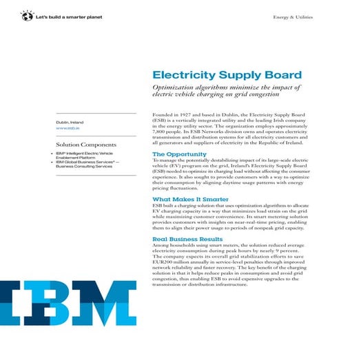 Electricity Supply Board | PDF