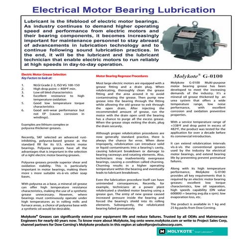 Electric Motor Bearing Grease Selection - Project Sales Corp | PDF