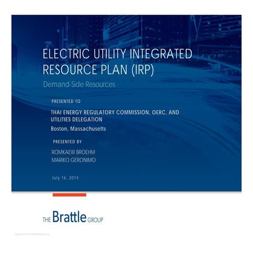 Electric Utility Integrated Resource Planning (IRP) | PDF