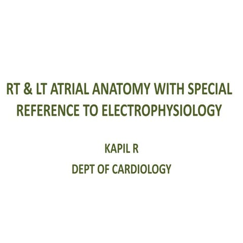 Electro anatomy.ppt