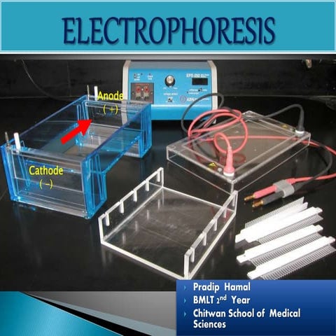 Hb electrophoresis and its types, principle , procedure | PPTX