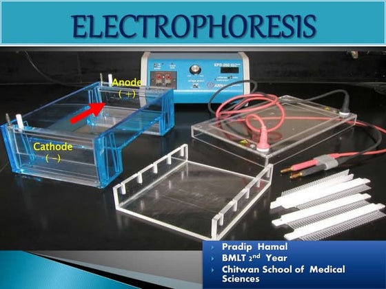 Hb electrophoresis (principle materials and procedure) | PPTX