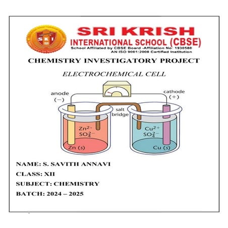 Electrochemical Cell sssssssssssssssssssshhsfd, | PDF
