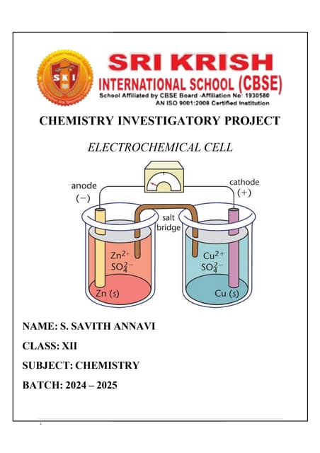 Chemistry Investigation Project (Daniel cell). | DOCX | Chemistry | Science