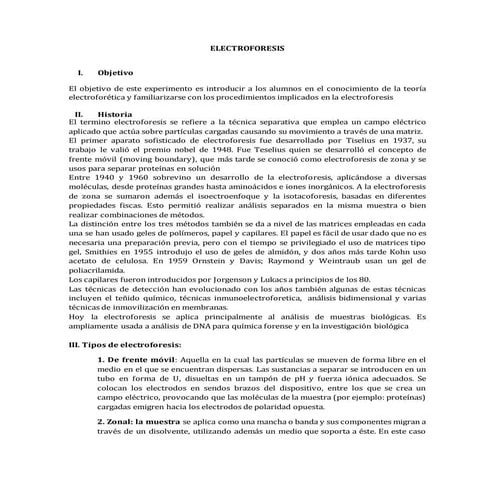 Hoja De Trabajo De Electroforesis