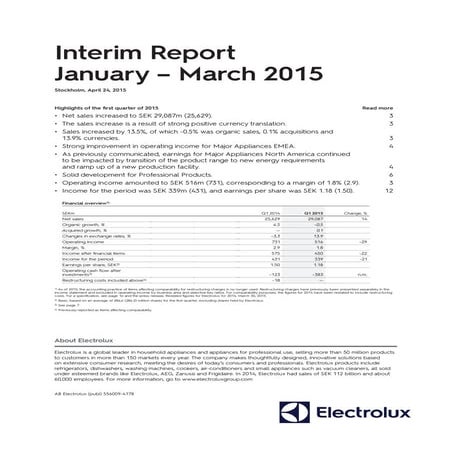 Interim report template | DOC