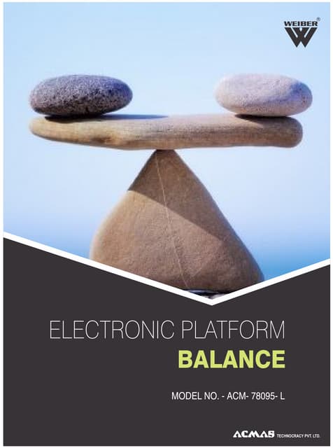 Electronic Platform Balance | PDF | Technology & Computing