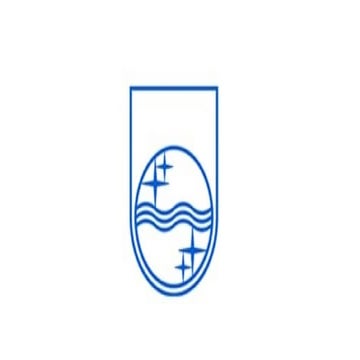 Electronics for logo games in business management.pptx