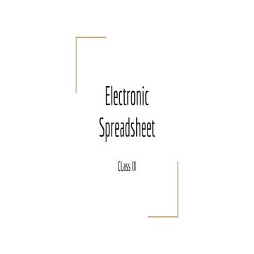 Electronic Spreadsheet_IX.pdf