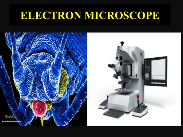 Electron Microscope Ppt Pptx