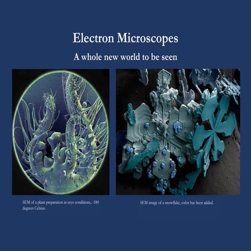 Electron_Microscopes.pdfvsvavsvsvsvsvsvvzvz | PPT