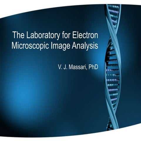 Electron Microscopic Image Analysis | PPT