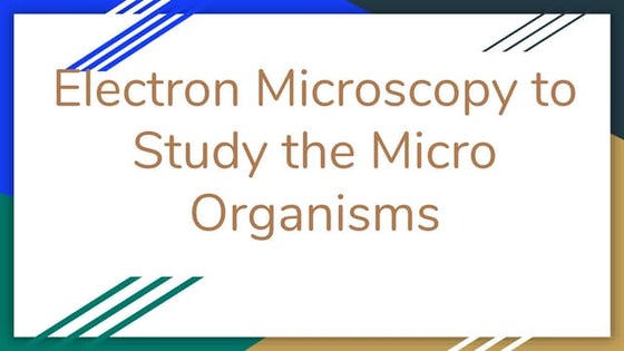 Difference between SEM and TEM | PPT