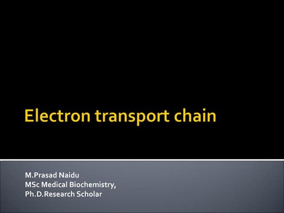 Electron transport chain | PPT