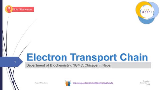 Electron transport chain | PPT