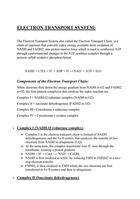 Electron Transport Chain.ppt