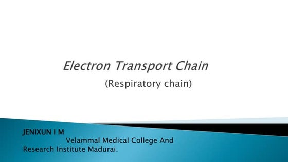 INHIBITORS AND UNCOUPLERS IN ELECTRONE TRANSPORT CHAIN | PPTX | Chemistry | Science