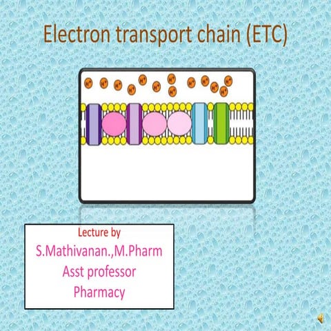 Simple Electron Transport Chain For Kids LON CAPA ATP AND BIOLOGICAL