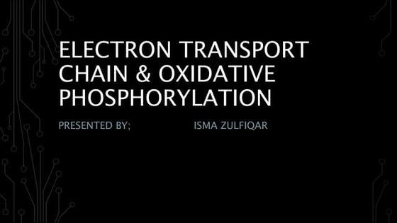 Biochemistry Electron transport chain | PPT | Chemistry | Science