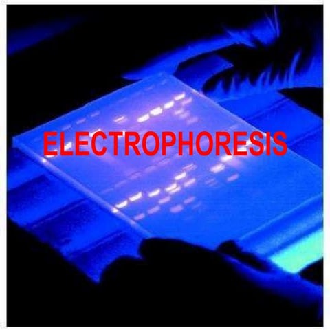 Electrophoresis, principle and types | PPTX
