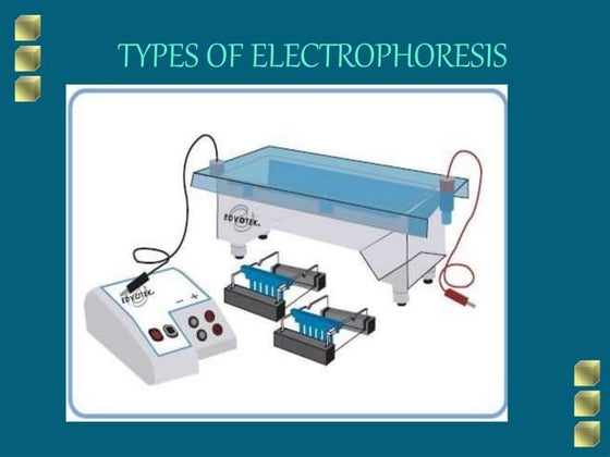 Electrophoresis, principle and types | PPTX | Chemistry | Science