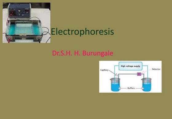 Electrophoresis and factors affecting electrophoresis | PPTX | Chemistry | Science