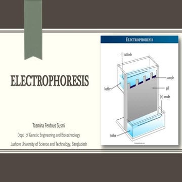 electrophoresis: types, advantages, disadvantages and applications. | PPTX