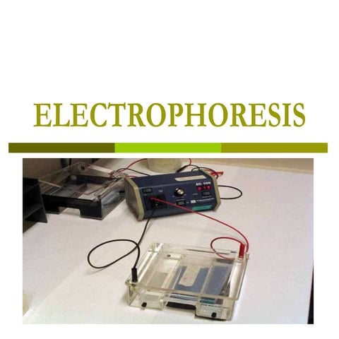 electrophoresis: types, advantages, disadvantages and applications. | PPTX