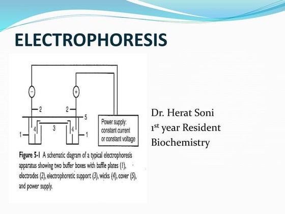 Electrophoresis and factors affecting electrophoresis | PDF