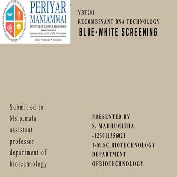 Blue white screening | PPTX