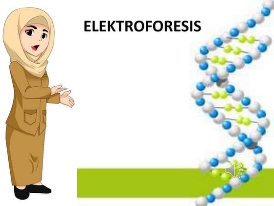 Kelompok 8 Kimia B ( Elektroforesis) | PPTX
