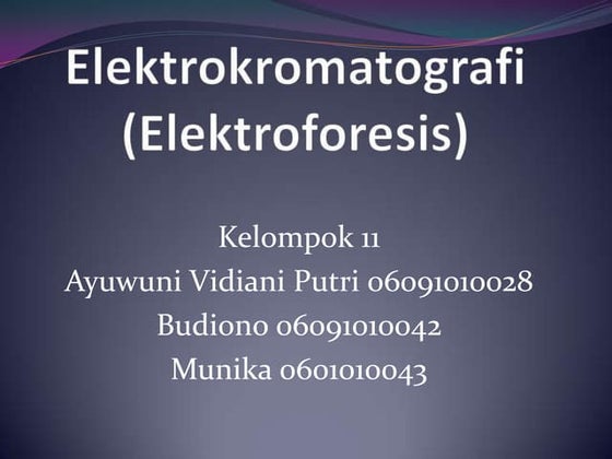 Kelompok 8 Kimia B ( Elektroforesis) | PPTX