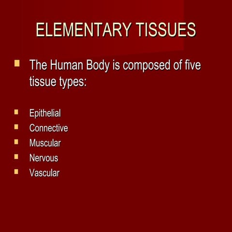 HIS 120 Elementary Tissues | PPT