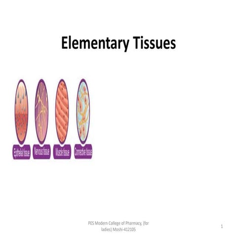 elementry tissue hap 2nd chapter we learn the tissue,itss type ...