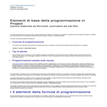 Elementi Di Base Della Programmazione In Project | DOC