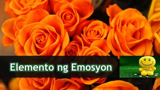 Emosyon powerpoint.pdf
