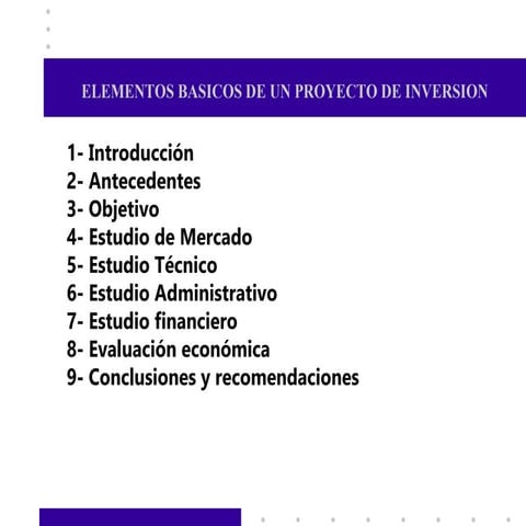 elementos_basicos_de_un_proyecto_de_inve.ppt | Business Accounting ...