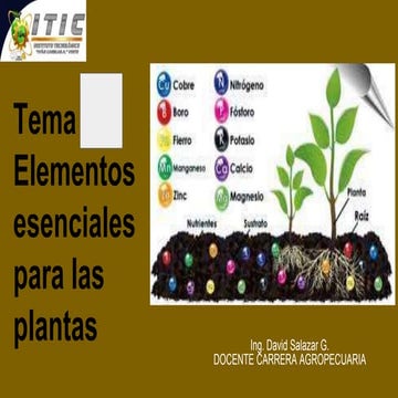 Elementos esenciales para las plantas.pptx