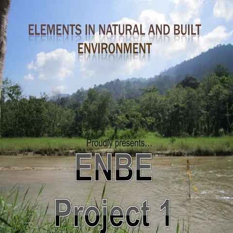 Elements in natural and built environment | PPTX