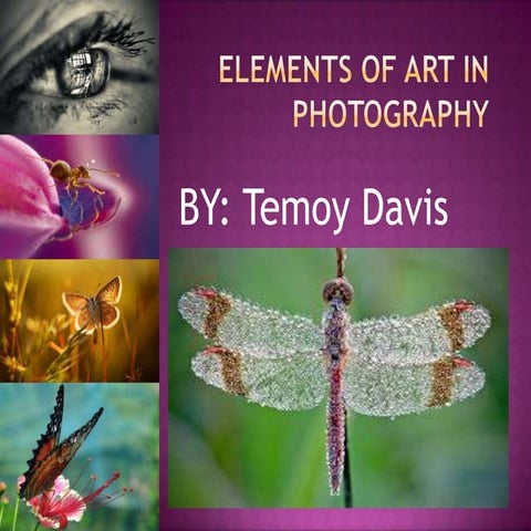 Elements of Photography | PPTX