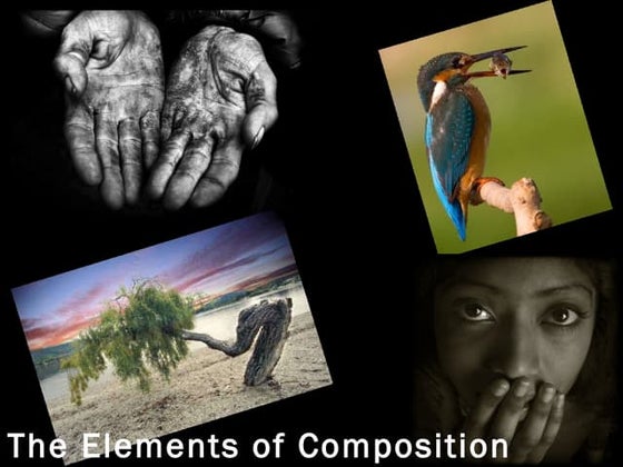 Chapter 3 emphasis and focal point | PPT | Photography | Arts and Crafts
